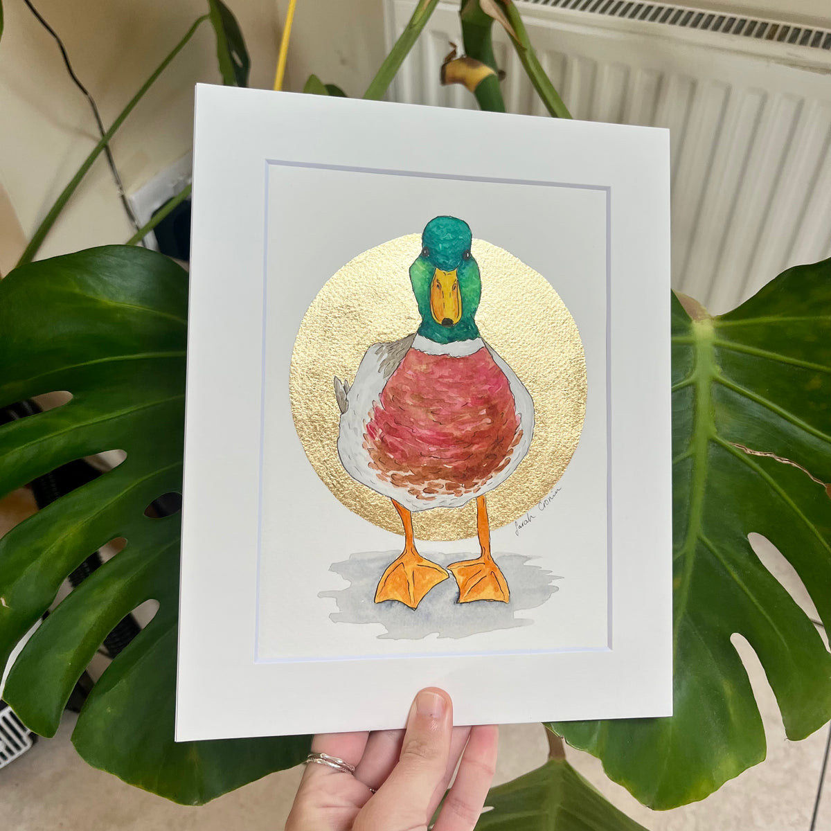 Mallard Duck – Sarah Cronin Art